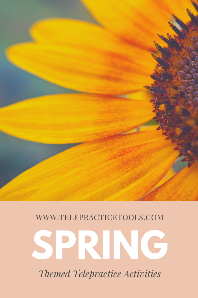 Telepractice Tools - Speech-Language Pathologists Support